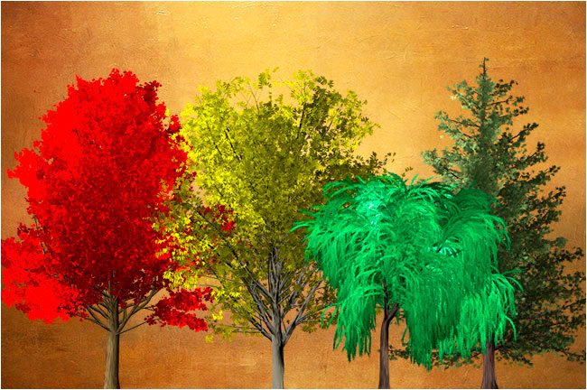 Adobe Photoshop Cloud what's New - The Canadian Nature Photographer ...